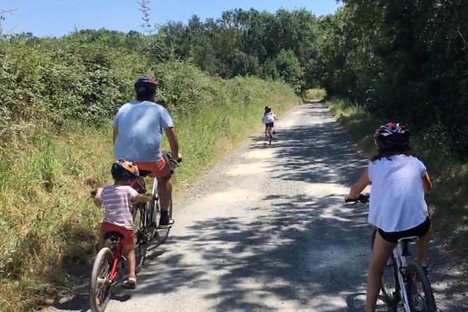 Vineyard Cycle Tours in and Around Chinon, in the Loire Valley - Ensuring a Safe and Accessible Experience
