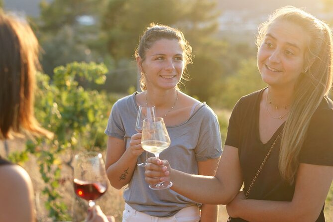 Vineyard Tour With Wine Tasting Within Nice City Borders - Diving Into the Customer Reviews and Feedback