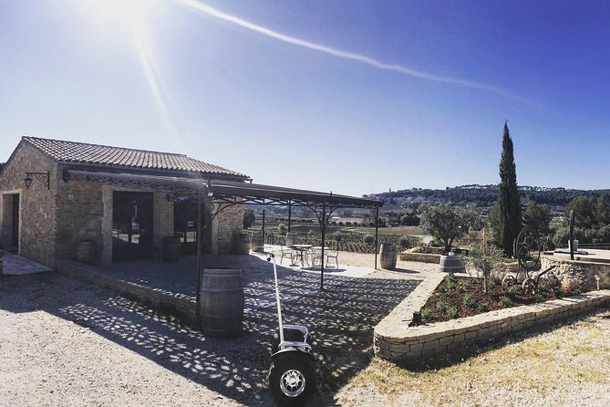 Vineyard Visit in Gyropod, Visit of Cave & Tasting Wines of Bandol - The Art of Winemaking