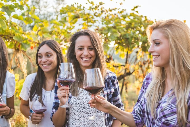 VIP Chianti, Montalcino & Pienza With Lunch From Siena - Tasting Chianti Classico Wines