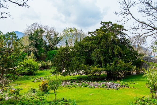 Visit Innisfallen Island - Traveler Reviews and Testimonials