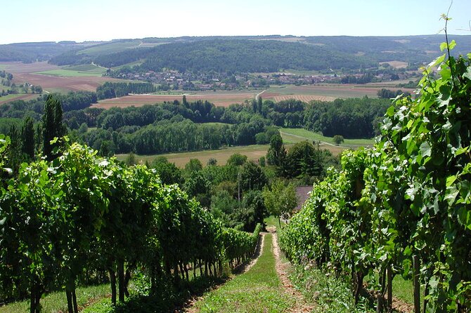 Visit-Tasting-Sale - Visitor Reviews and Feedback