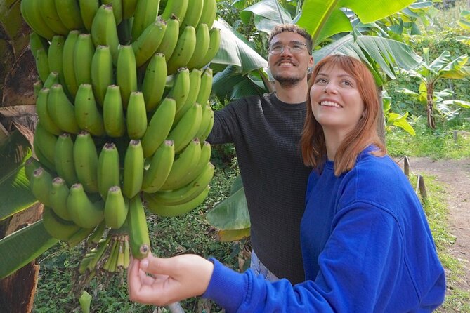 Visit the Ethnographic Park of La Gomera - Visitor Amenities and Facilites