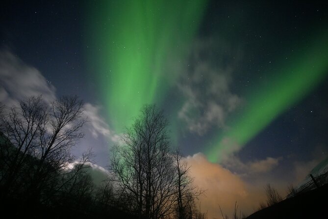 Watching The Aurora Dance - Capturing the Moment: Professional Photography