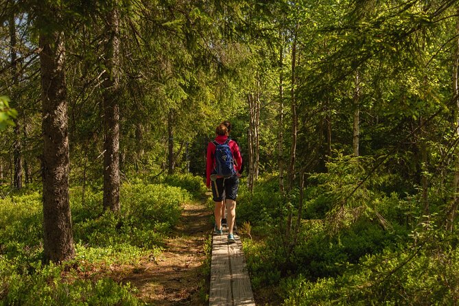 Wildlife Forest Hike - Photo Opportunities and Highlights