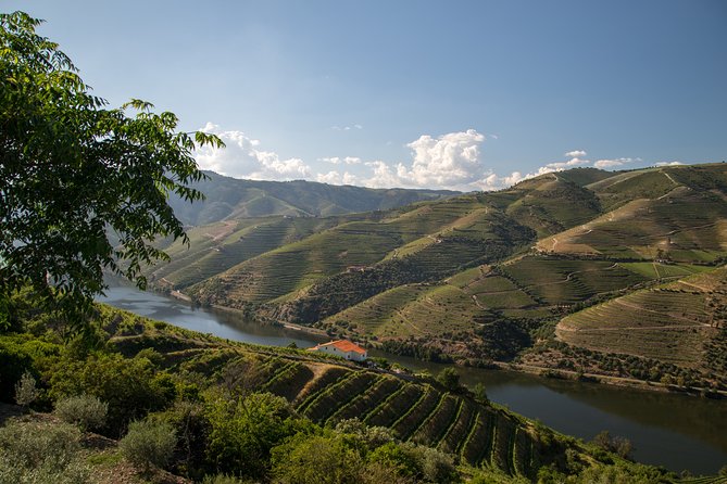 Wine Experience With a Sommelier - Accessibility and Accommodations