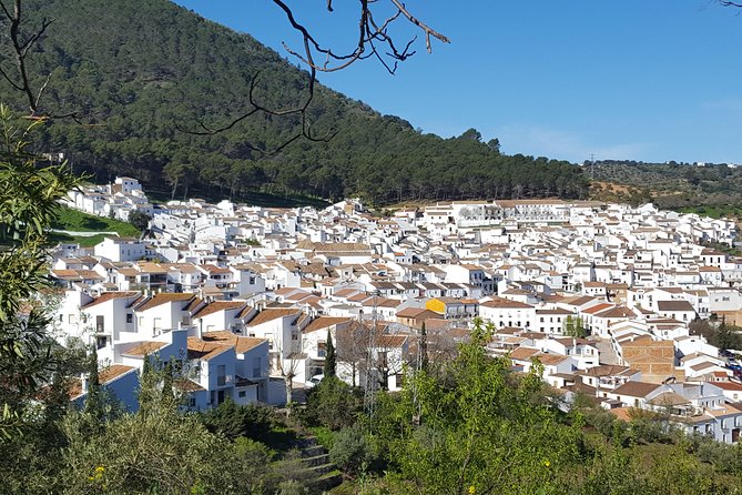 Wine & Tapas Tour by Electric Bike (E-Bike) Including Ronda Pickup (Full Day) - Safety Measures and Guidelines