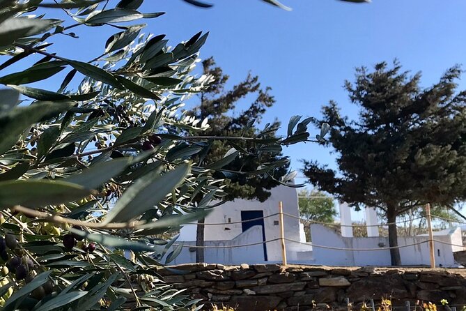 Wine Tasting and Tour in Saint Anna Winery in Naxos - Pairing Wines With Local Delicacies