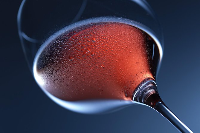 Wine Tasting Experience in Milan City Centre - Guest Reviews and Feedback