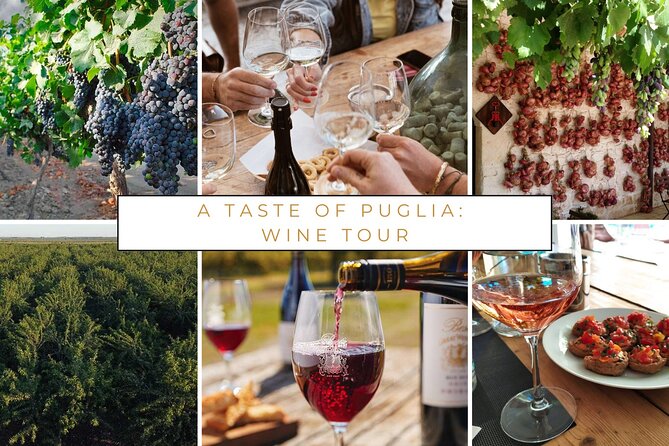 Wine Tasting Experience in the Apulian Countryside - Logistics and Meeting Point
