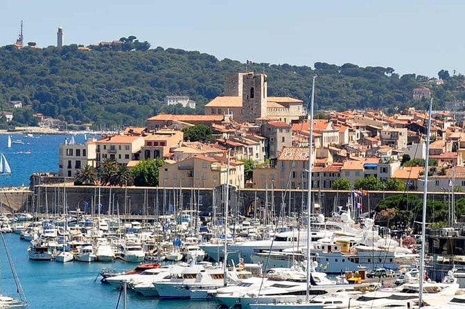 Wine Tasting, Provencal Market, Cannes and St Paul De Vence - Wine Tasting at a Local Estate