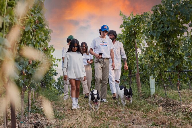 Wine Tour and Tasting of Lugana Wines in Desenzano - Accessibility and Participation Details
