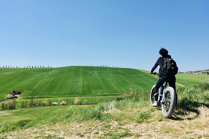 Wine Tour Ebike Experience - Safety and Physical Requirements