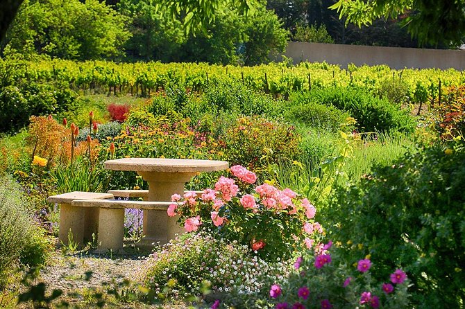 Winery Tour & Wine Tasting - Deli Plate & 3 Wines - The Wine Tasting and Deli Plate Pairing