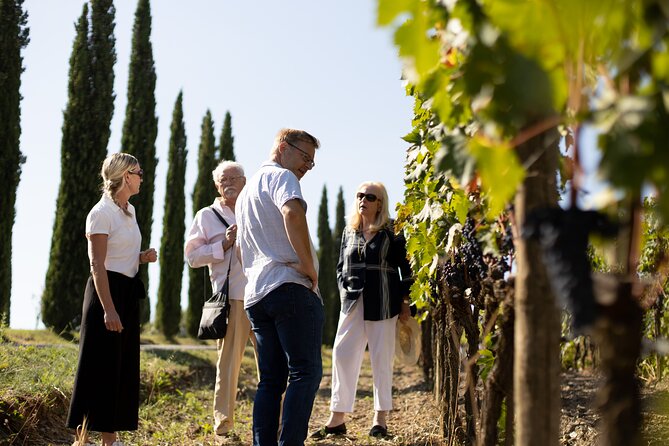 Winery Tour & Wine Tasting in Montalcino - Traveler Reviews and Ratings