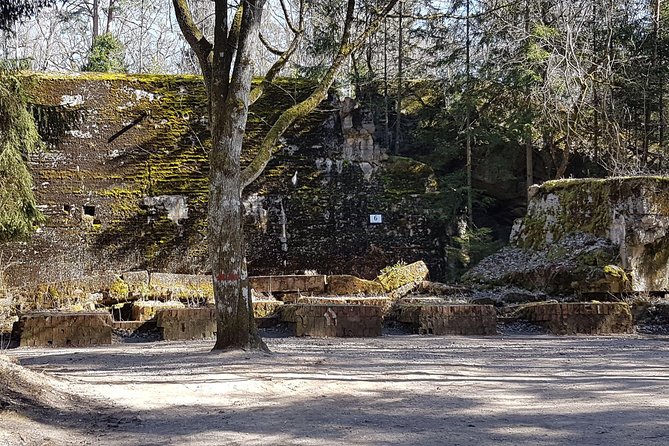 Wolfs Lair & Treblinka Tour in 1 Day From Warsaw - Booking and Cancellation Policies