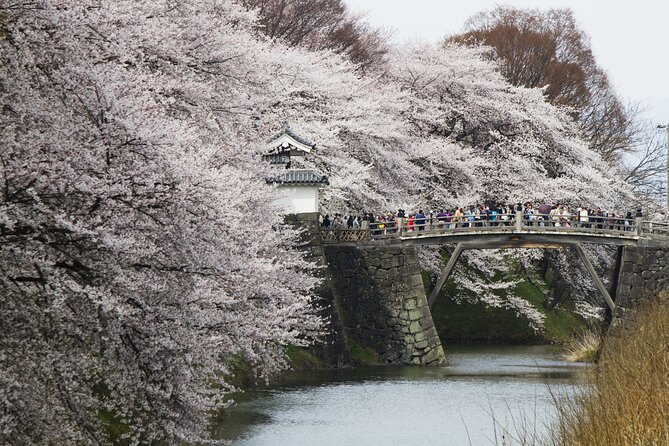 Yamagata / Yamadera 6hr Private Trip With Licensed Guide - Highlights of the Tour