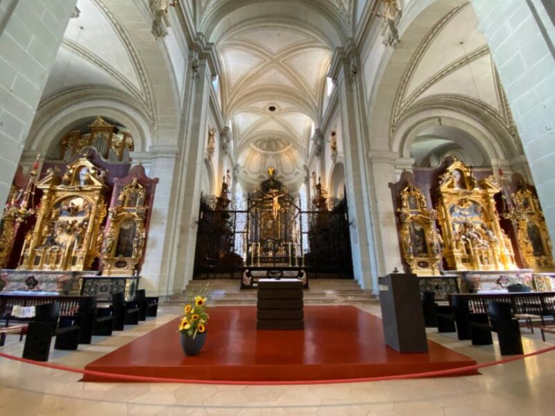Zurich: Glacier Express Swiss Alps & Lucerne Private Tour - Inclusions