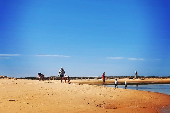 5 Hour Boat Tour in Ria Formosa - Overview of the Ria Formosa Boat Tour