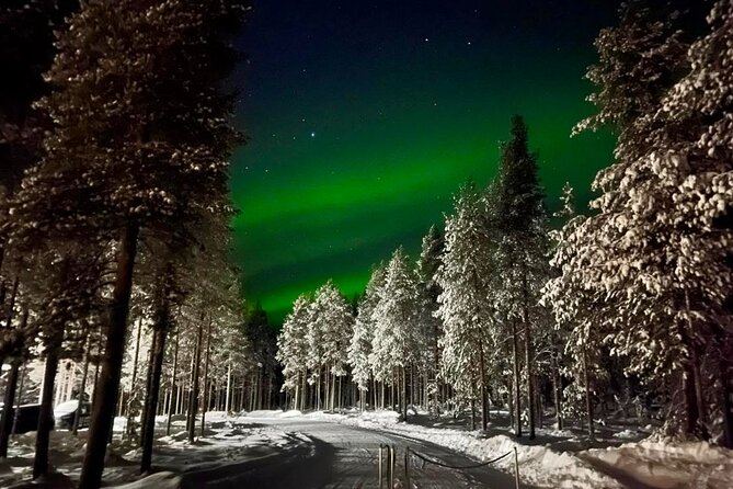 1 Day Pass Lapland Winter Park in Rovaniemi - Accessibility and Guides