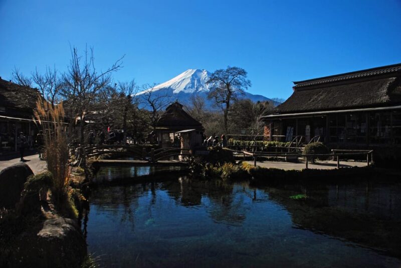 1 Day Tour : Mount Fuji and Hakone - Booking Recommendations