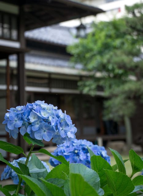 1-Day Tour: Nagoya Castle, Gardens & Historic Estate - Experience Details