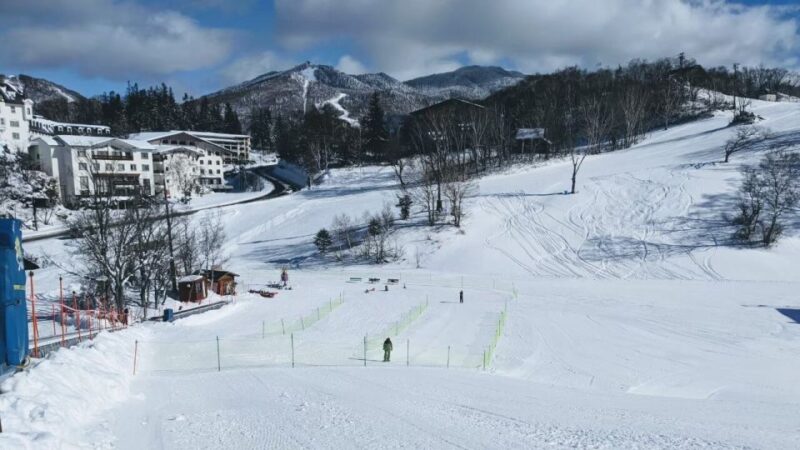 1 Day Tour: Snow Monkeys & Snow Fun in Shiga Kogen - Important Information and Customer Feedback