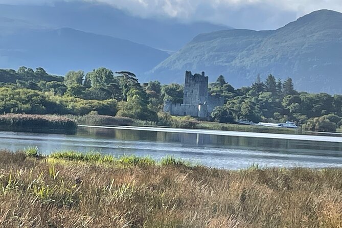 1 Hour Guided Carriage Tour in Killarney National Park - Since You Asked