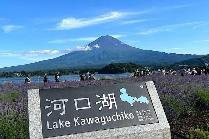 2-Day Private Tokyo MT Fuji Hakone Sightseeing Tour With Guide - About the Tour