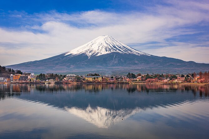 2-Day Tour: Mt Fuji and Tokyo Private Wagon & English Driver - Day 1: Exploring Tokyo