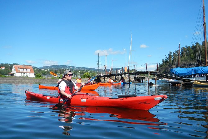2- Hour Kayak Trip on the Oslo Fjord - Equipment Provided and Guidance