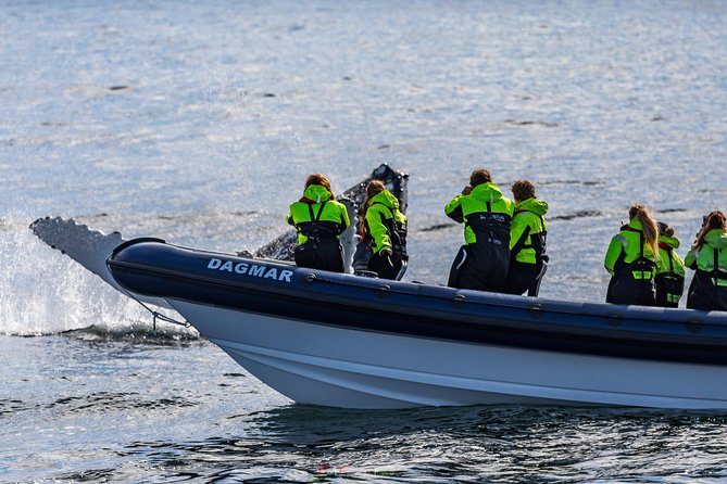 2-Hour RIB Boat Whale Watching Tour From Reykjavik - Departure and Accessibility