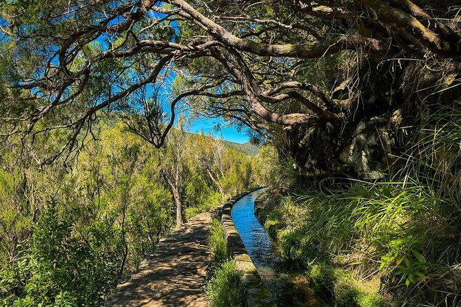 25 Fountains Levada: Hiking Tour in Madeira Rabaçal Valley (PR6) - Insights From Local Guides