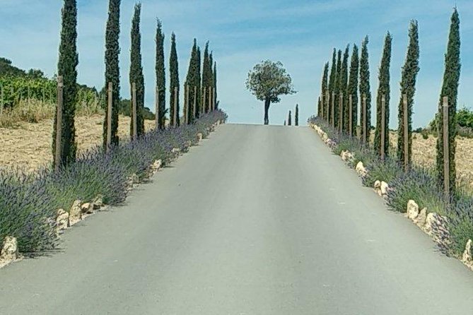 5-Hour Private Sightseeing Tour of the Provence From Marseille in Luxury Car - Exploring Aix-en-Provence