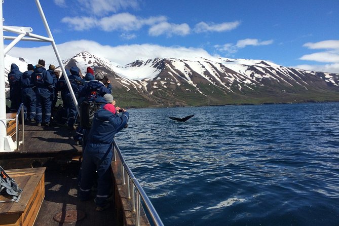 7-Day Complete Iceland: South Coast, Golden Circle, Akureyri & Snaefellsnes - Discovering the Snaefellsnes Peninsula