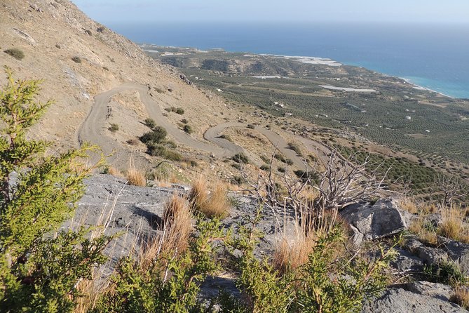 Adventure Safari Tour Secrets of the Southern Crete - Savoring Authentic Beachfront Dining