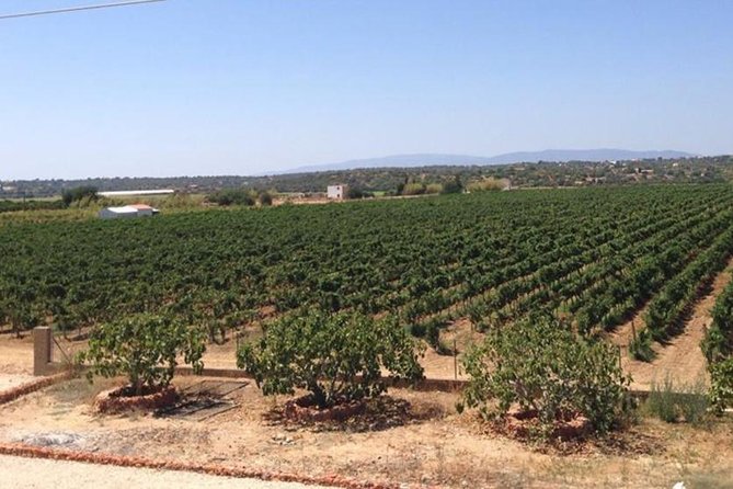Algarve Wine Tour and Mountain Top Trip With Lunch or Dinner at Sunset Time - Transportation and Meeting Details