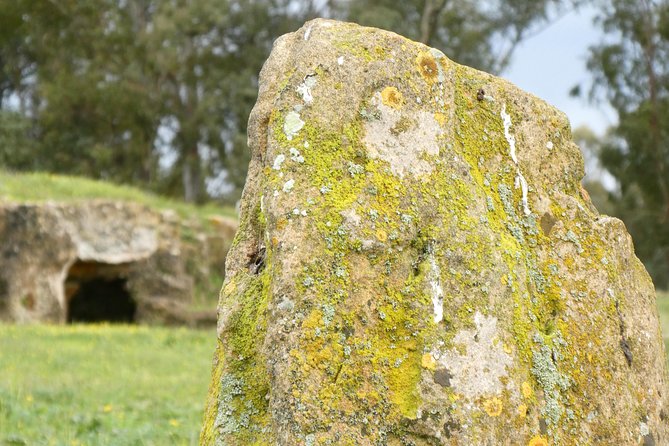 Alghero: Private Archaeological Tour (Transfer INCLUDED) With Local Guide - Booking and Cancellation Policy