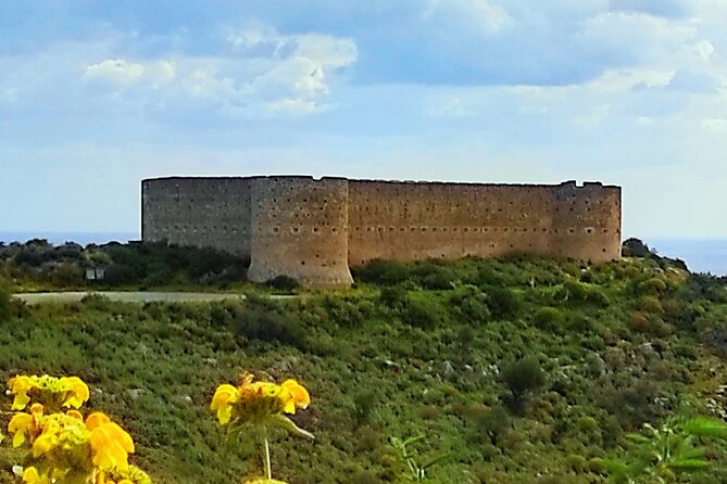 All Inclusive Full-Day Private Tour of Crete Villages From Chania - Inclusions and Pricing Details