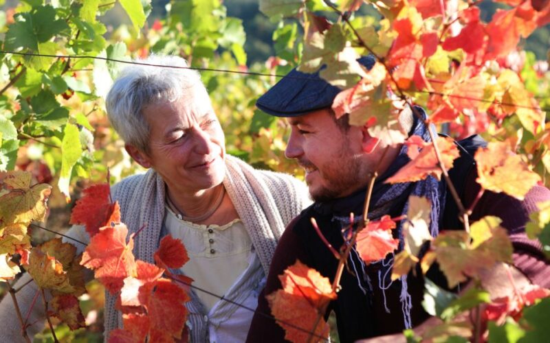 Alsace: Guided Winery Tour in Alsace - Local Wine Tasting - Customer Reviews