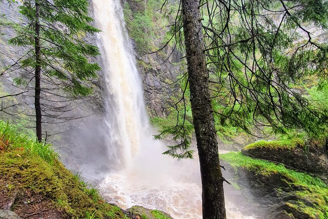 Alternative Loch Ness Tour by Secret Highlands - Meeting the Knowledgeable and Passionate Guide
