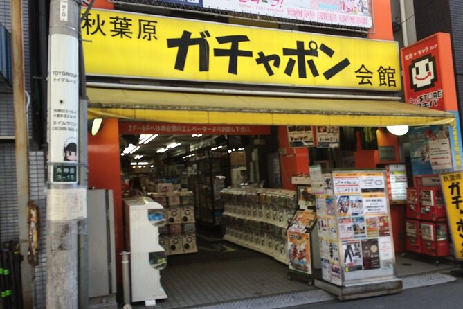 Amazing Tsukiji Fish Market and Akihabara Pop Culture of Tokyo　 - Navigating the Electrifying Electronics Stores