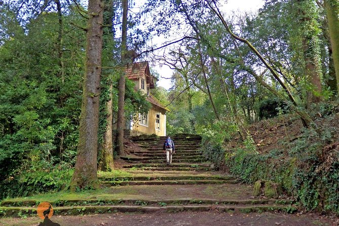An Adventure Through the Forest and Palace of Bussaco - Coimbra - Traveler Experiences and Feedback