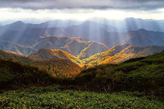Aomori Private Customizable 6-Hour Tour - Common Questions