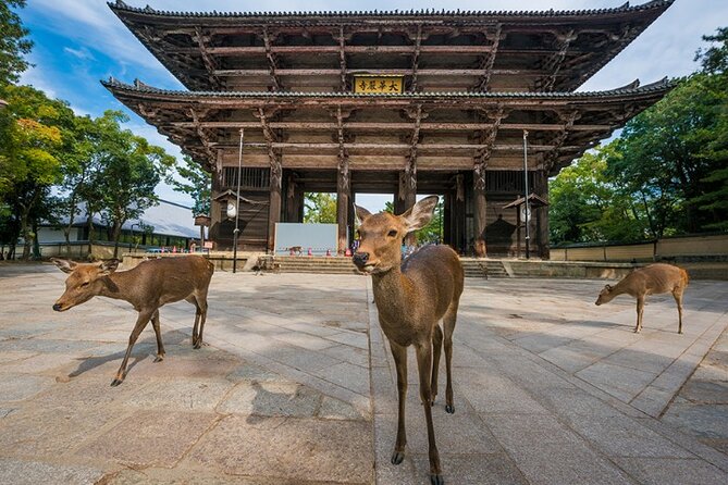 Arashiyama & Yasaka Shrine & Nara & Todaiji Day Trip From Osaka - Booking Considerations