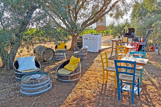 Archeology, Visit to a Vineyard and Wine and Pecorino Cheese Tasting - Meeting the Local Winemaker