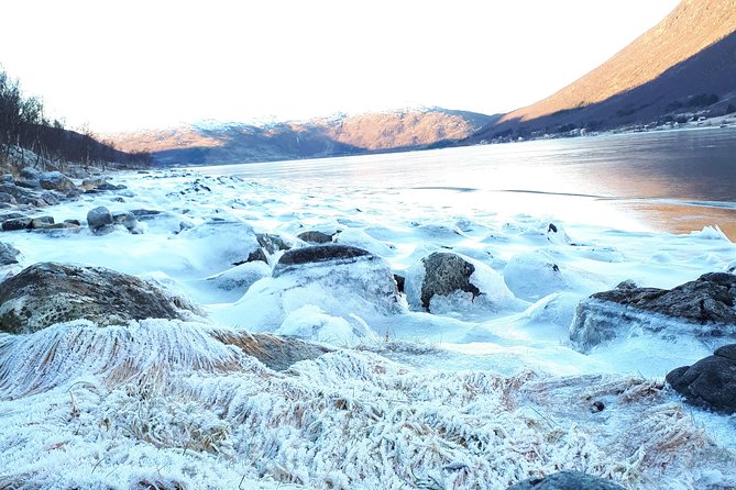 Arctic Fjord and Landscape Tour - Meeting Point and Accessibility