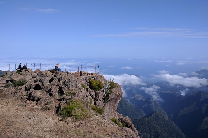 Arieiro Peak and Cristo Rei 4x4 Experience + Dolphins Watching - Customer Feedback and Reviews