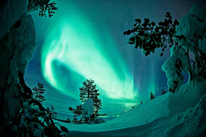 Auroras in Saariselkä – Northern Lights Photo Tour by Car and on Foot - Positive Traveler Experiences