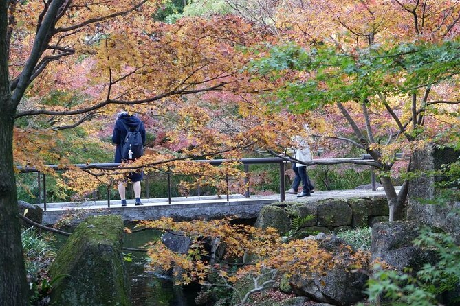 Autumn Leaves Private Tour in Nagoya - Reviews